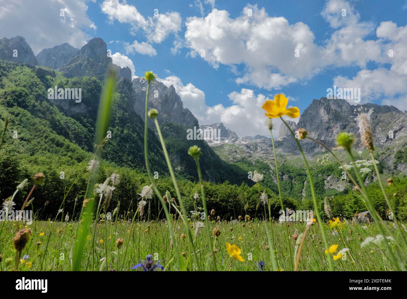 Grebaje Valley and Prokletije National Park, Accursed Mountains, Skala ...