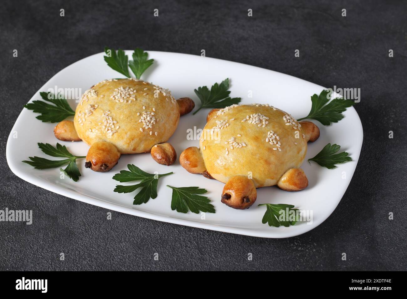 Funny buns cute funny bun hi-res stock photography and images - Alamy