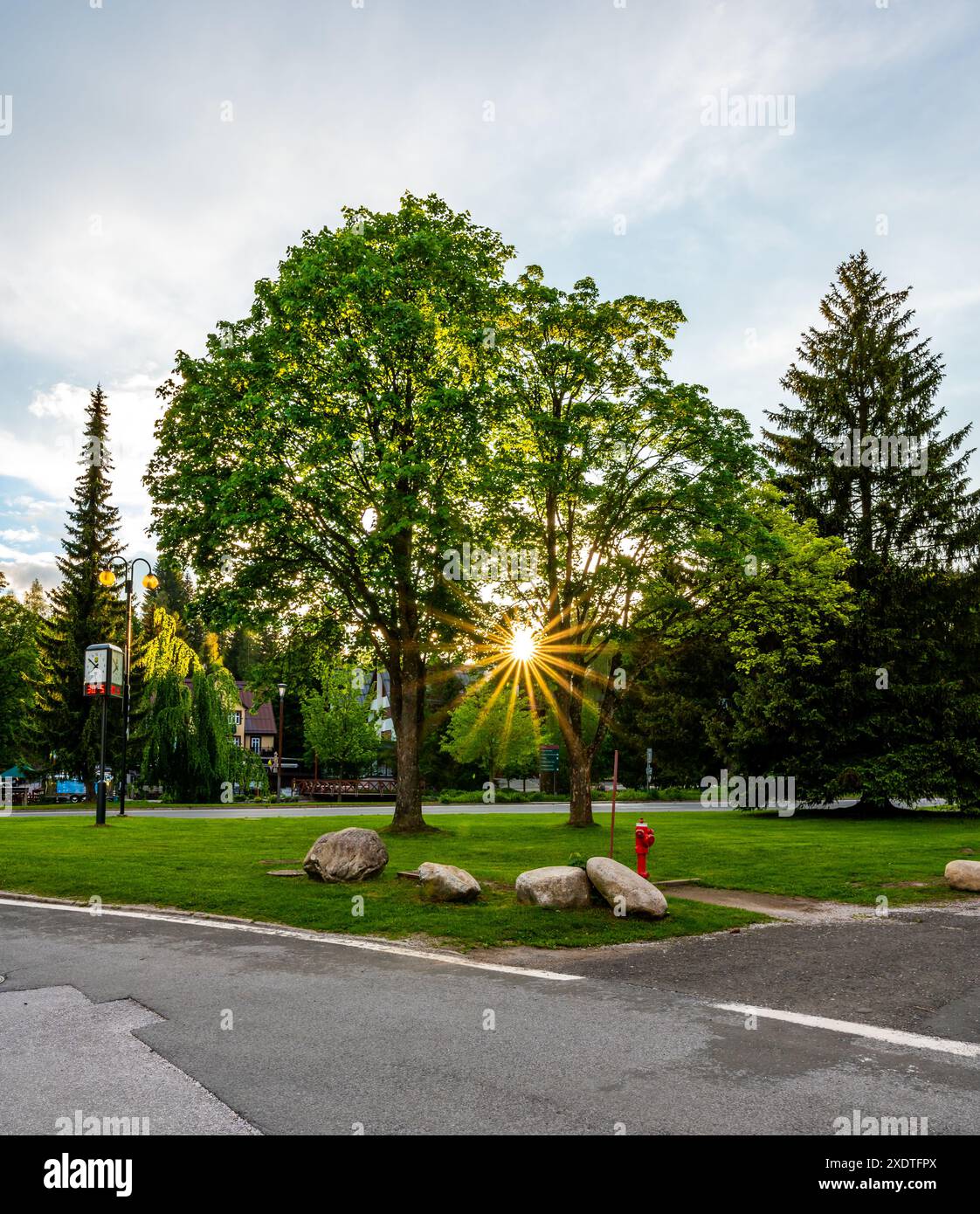 Sunlight sunshine sunbeam sunset hi-res stock photography and images ...