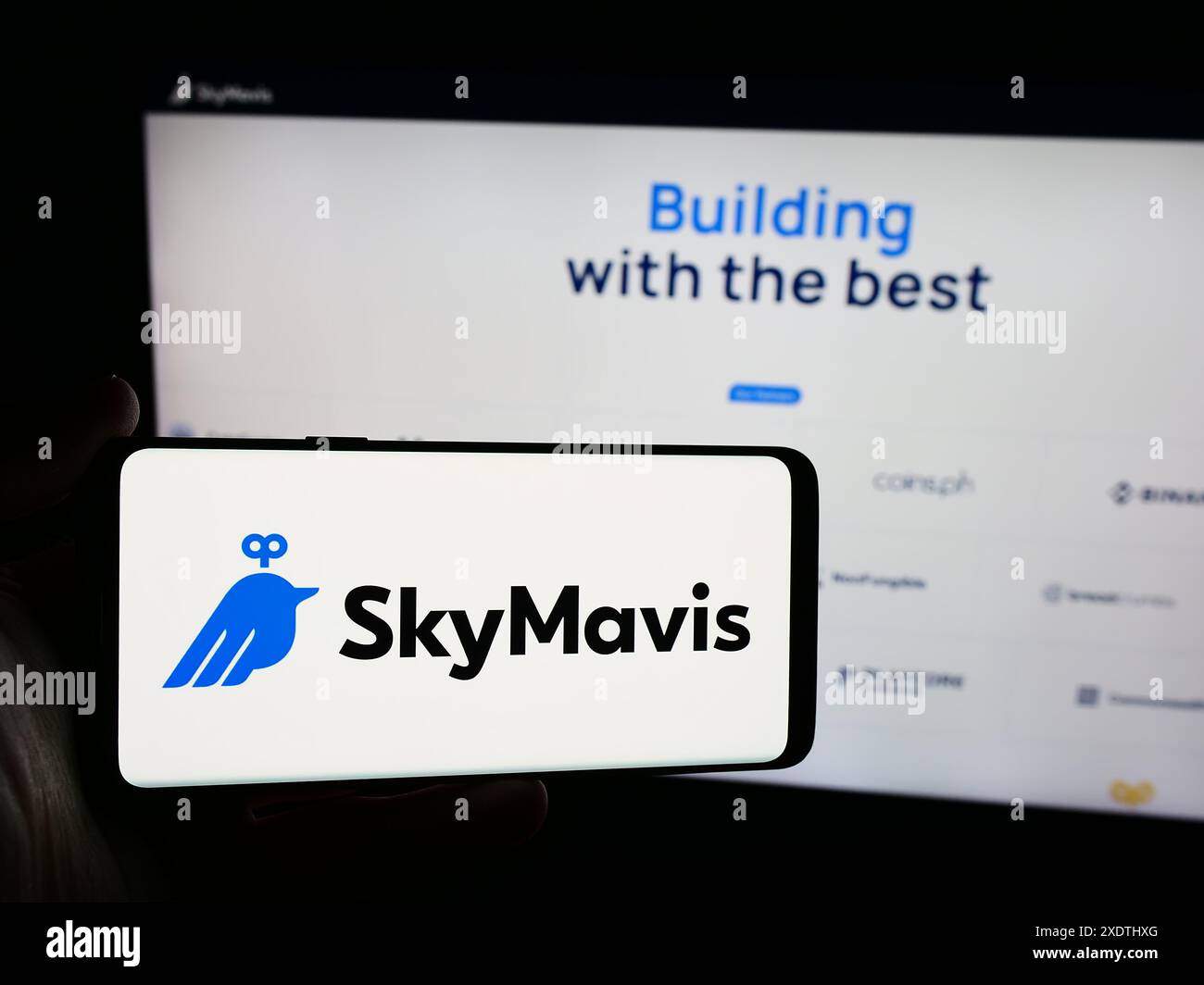 Sky mavis logo hi-res stock photography and images - Alamy