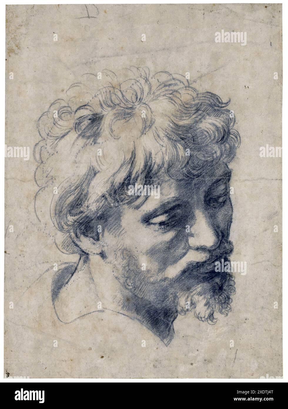 Drawing, The Head of a young Apostle by Raffaello Sanzio da Urbino ...