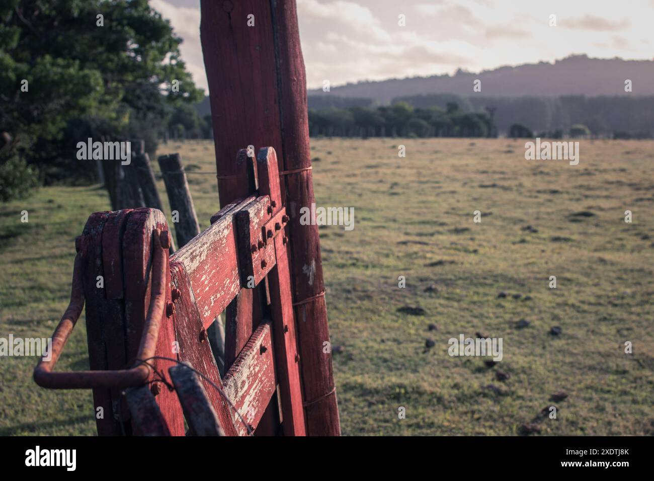 Fenced field gate Stock Photo - Alamy