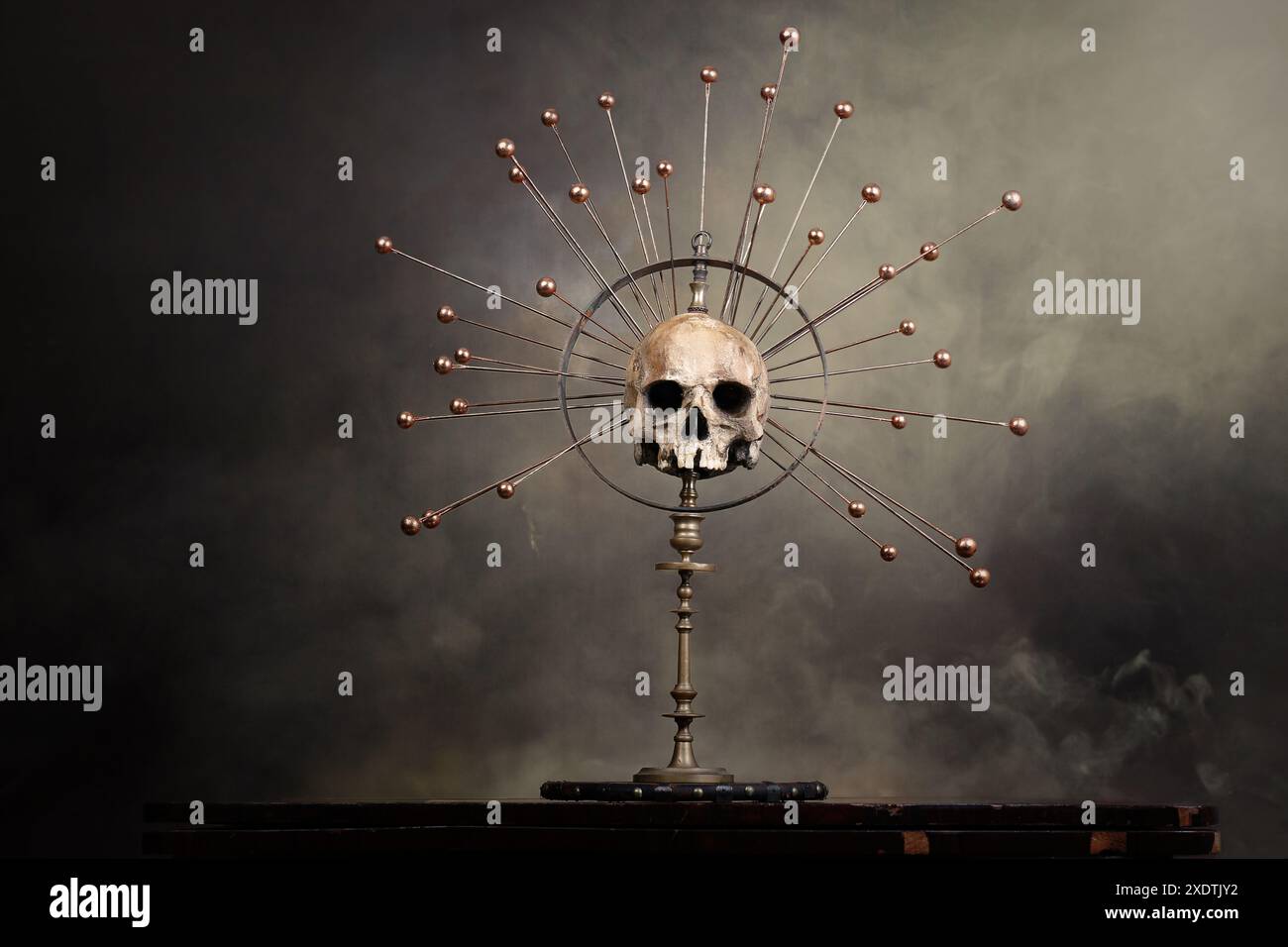 Skull with spikes hi-res stock photography and images - Alamy
