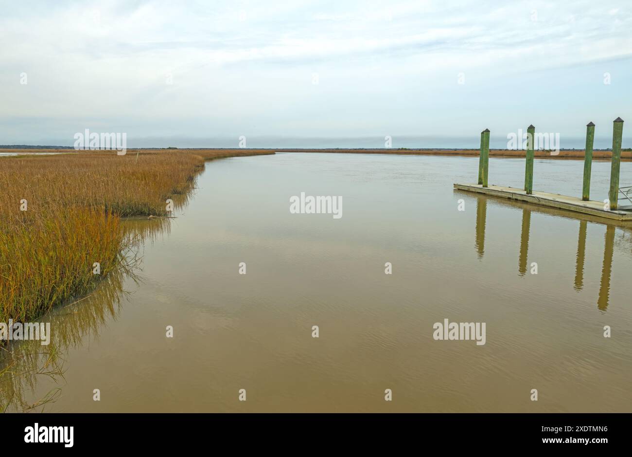 Lonely Dock on the Santee River Estuary in the Santee Coatal Rerserve ...