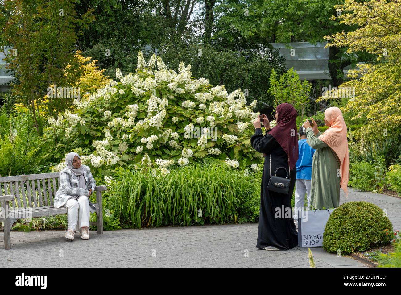 The New York Botanical Garden located in The Bronx is an iconic living ...