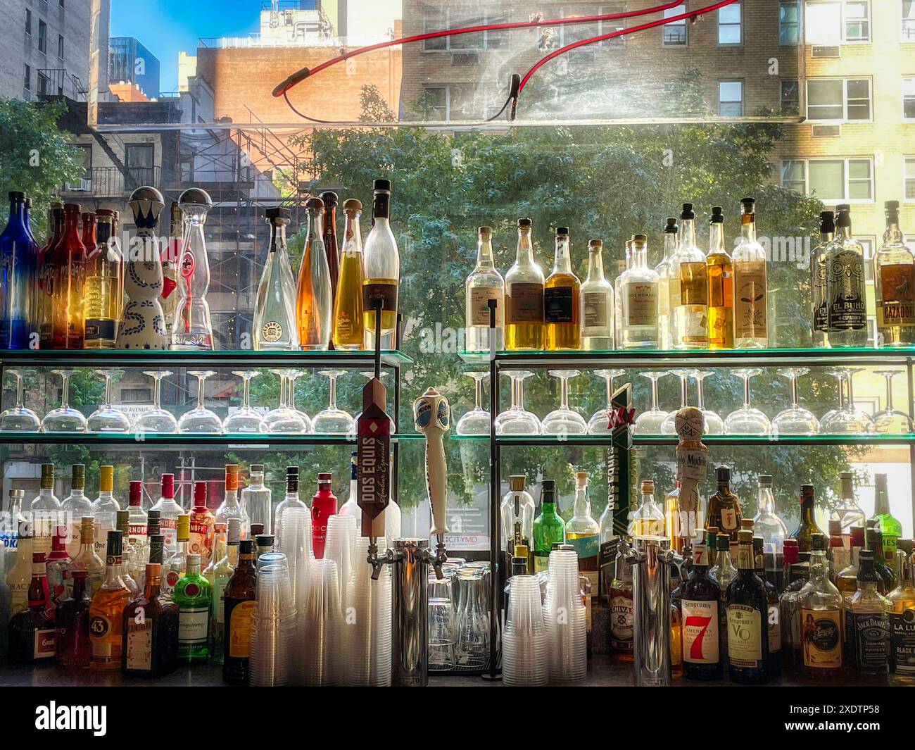 Bar at El Rio Grande Mexican Restaurant, New York City, USA 2024 Stock ...