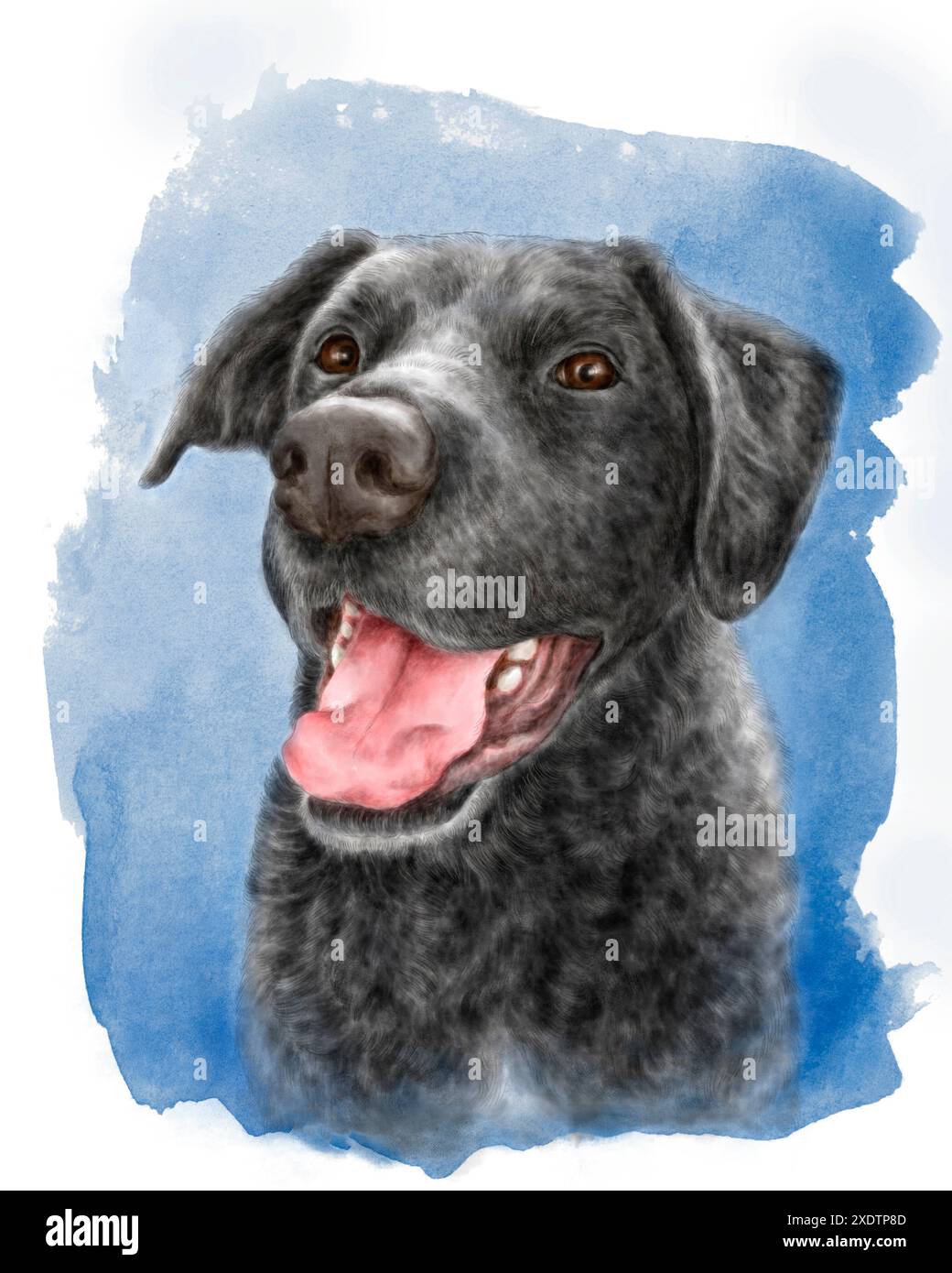 Black labrador retriever dog portrait. Watercolor painting artwork ...