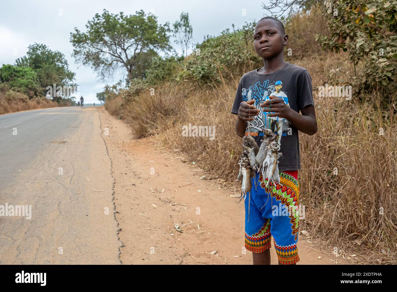 Mozambique sofala hi-res stock photography and images - Alamy