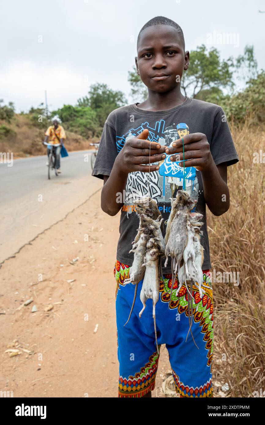 Sofala provincia de mozambique hi-res stock photography and images - Alamy