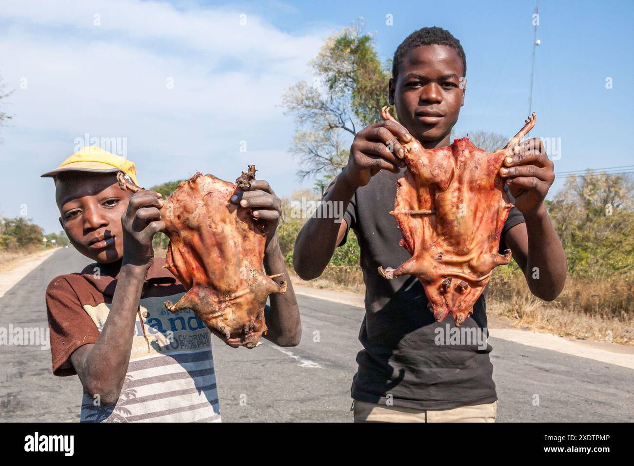 Sofala provincia de mozambique hi-res stock photography and images - Alamy