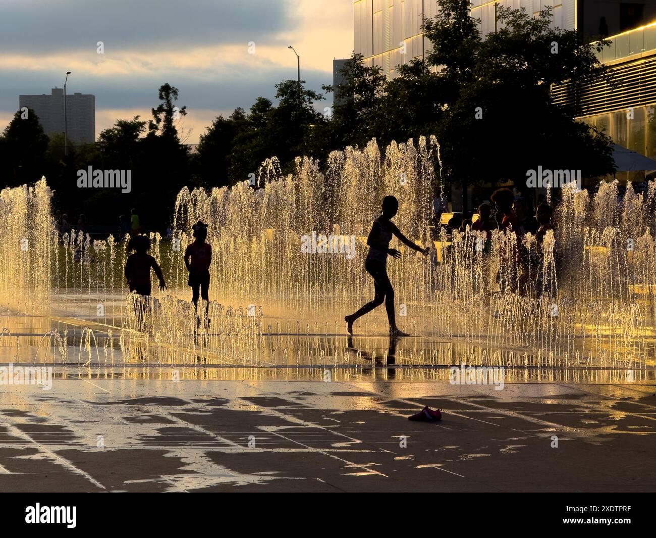 Children playing in a water fountain (backlit) at sunset in Manhattan ...
