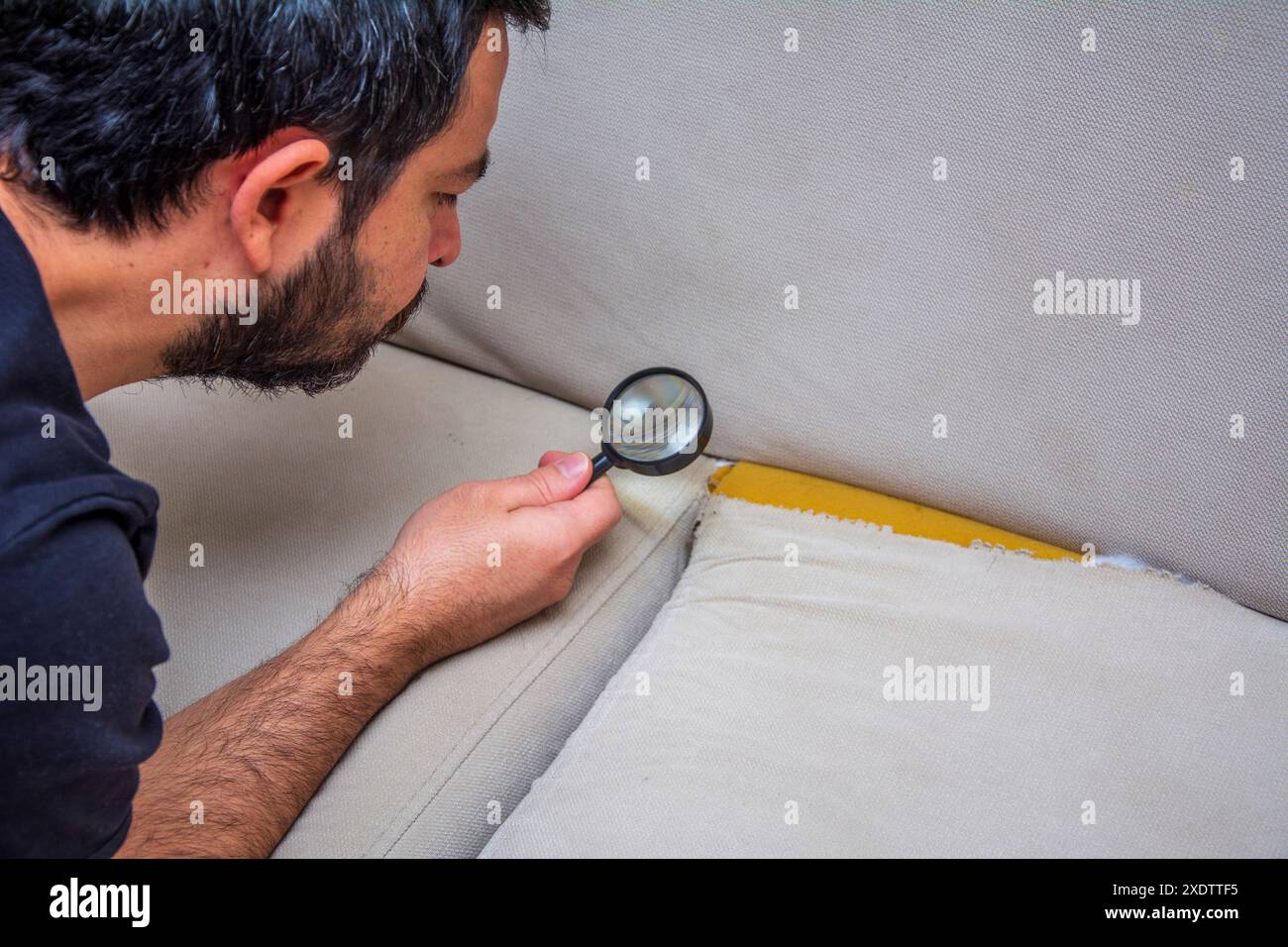 A man is examining the cut part of the sofa with a magnifier Stock ...