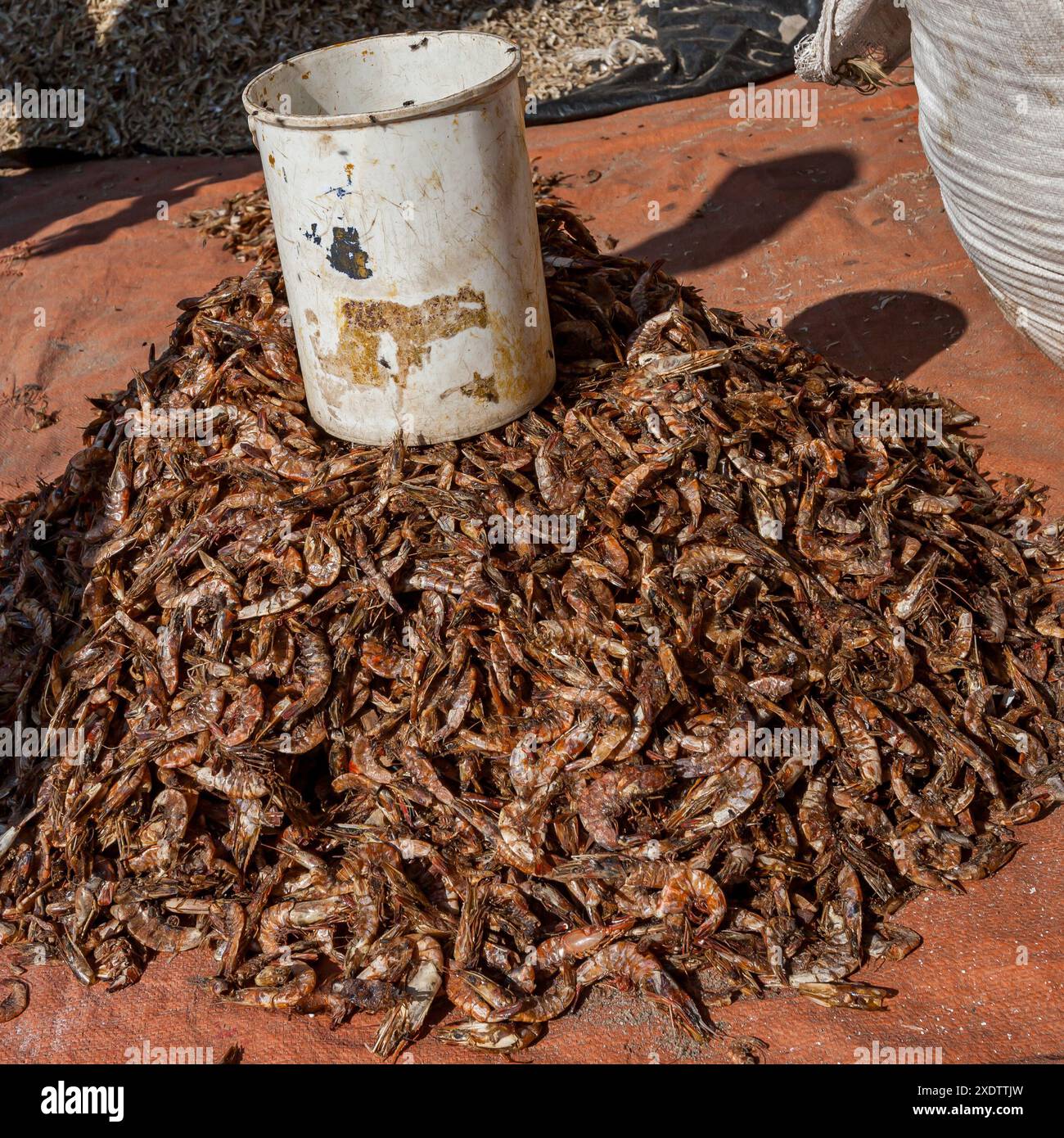 Mozambique, Sofala, Beira, Dried fish on sale Stock Photo - Alamy