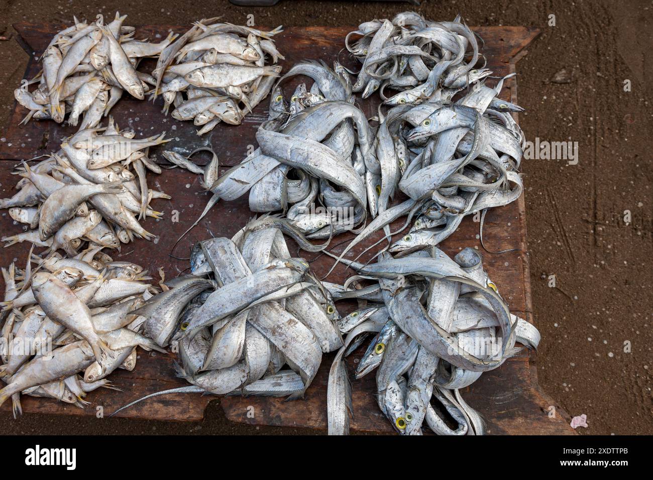 Mozambique, Sofala, Beira, Dried fish on sale Stock Photo - Alamy