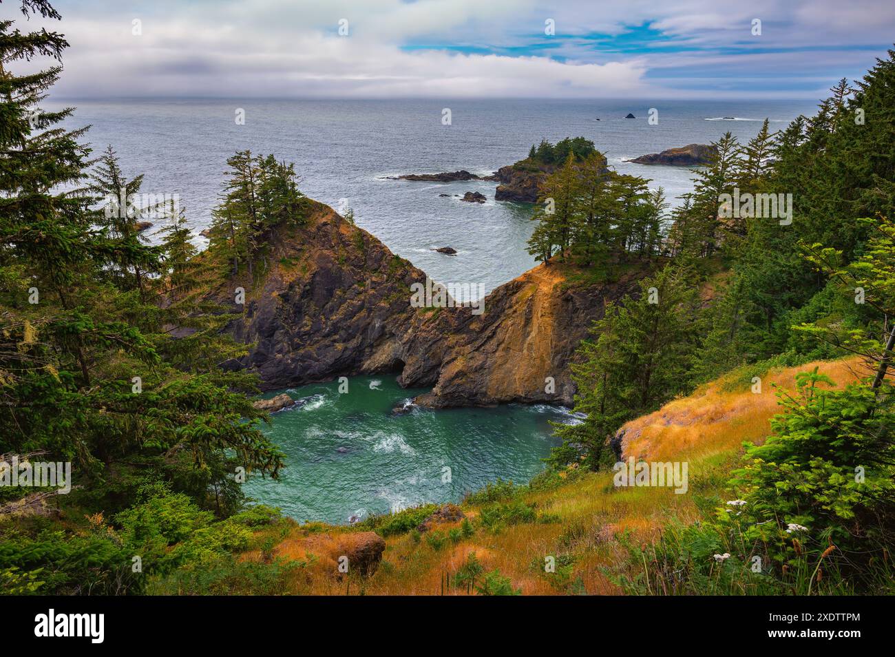 Natural Bridges along the Oregon coast with rugged cliffs and the ...