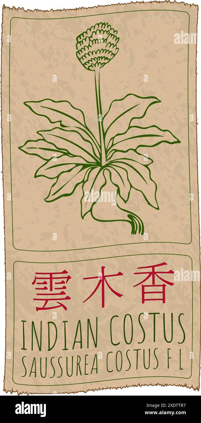 Vector drawing INDIAN COSTUS in Chinese. Hand drawn illustration. The ...