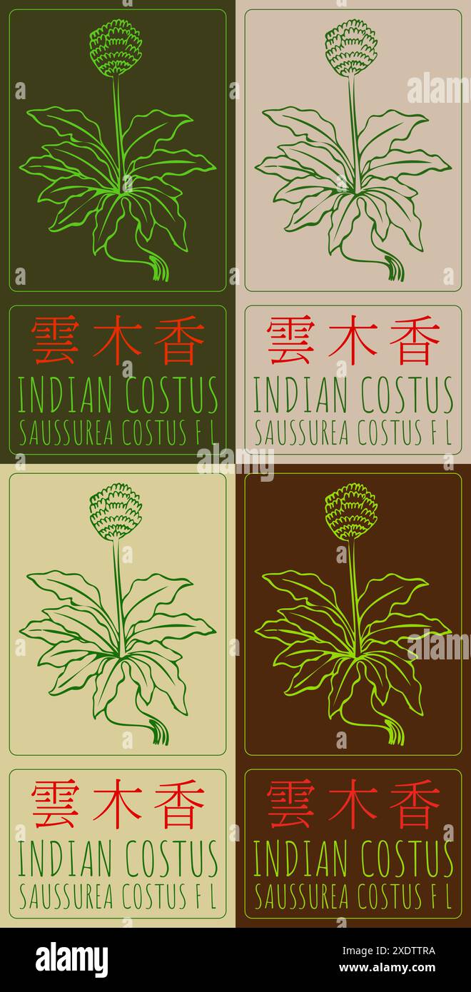 Set of vector drawing INDIAN COSTUS in Chinese in various colors. Hand ...
