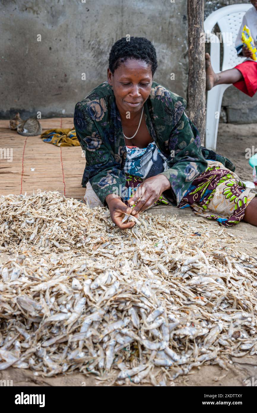 Sofala provincia de mozambique hi-res stock photography and images - Alamy