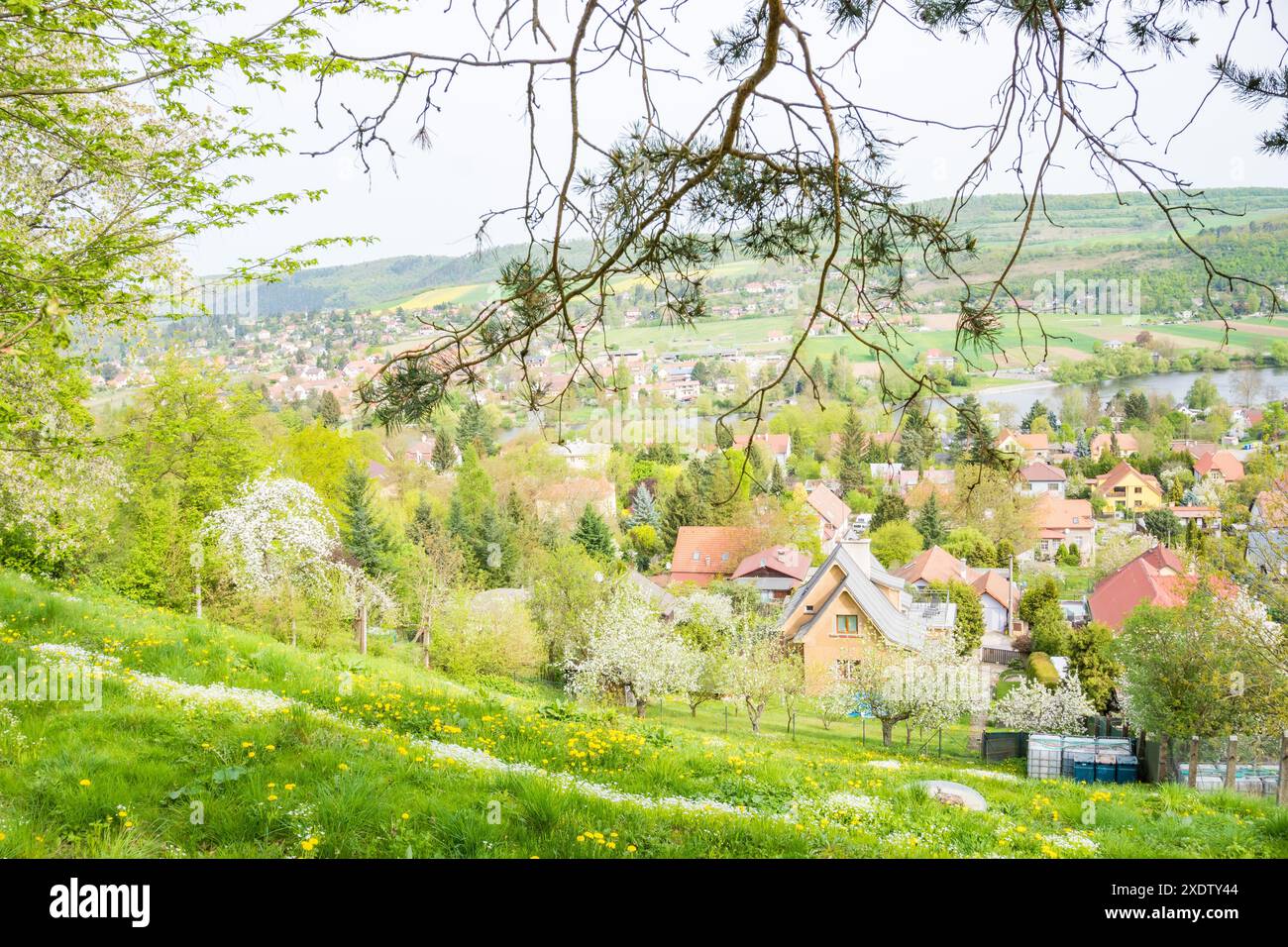 view of a small spring village. Top view of traditional housing estate ...