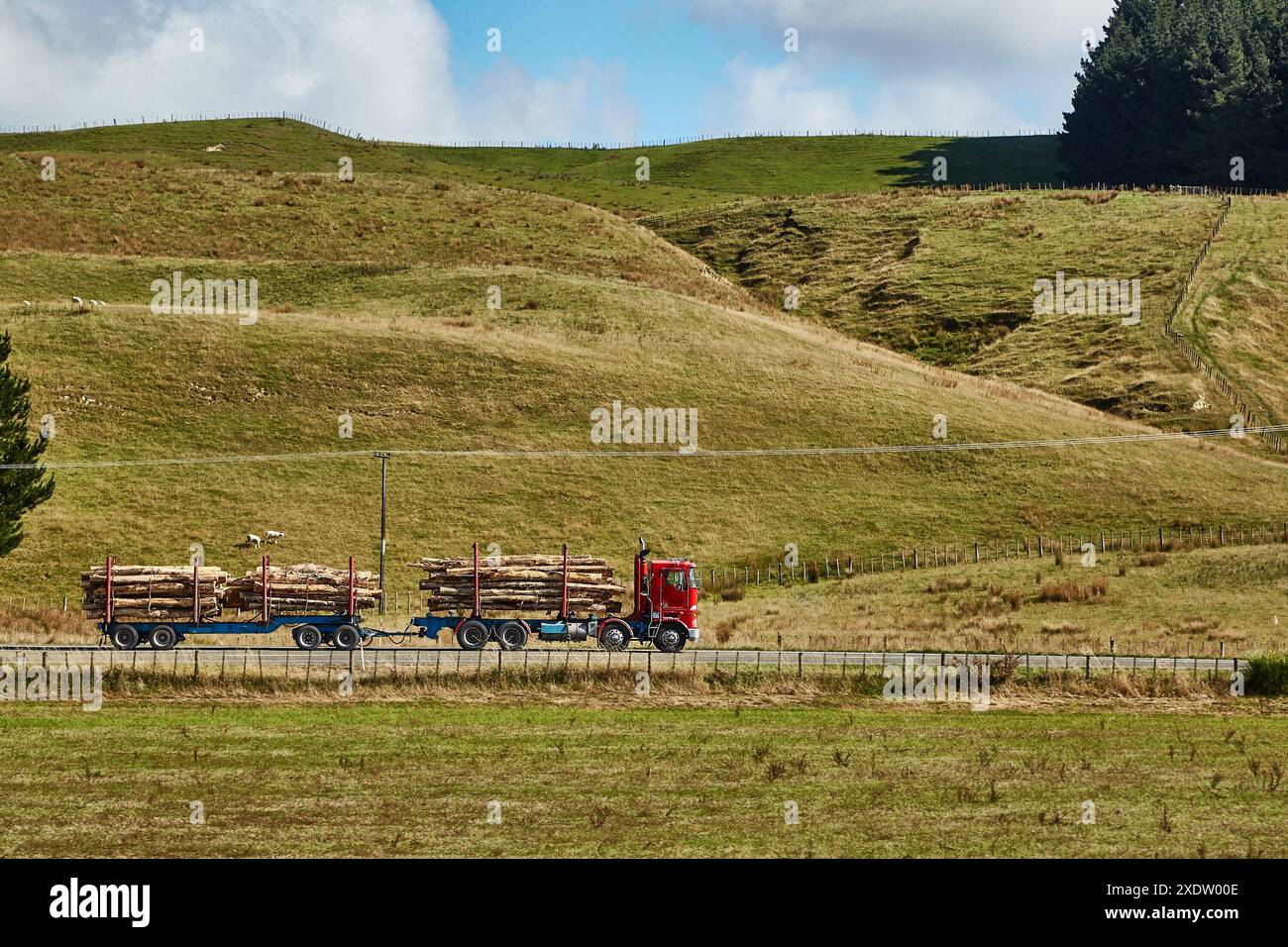 Logging track carrying timber in New Zealand Stock Photo - Alamy