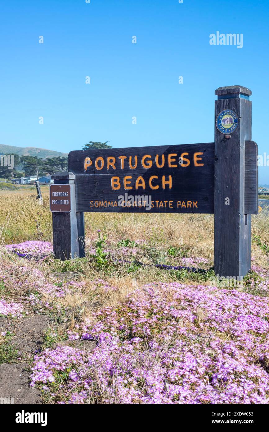 Sonoma Coast State Park in Sonoma County, California Stock Photo - Alamy