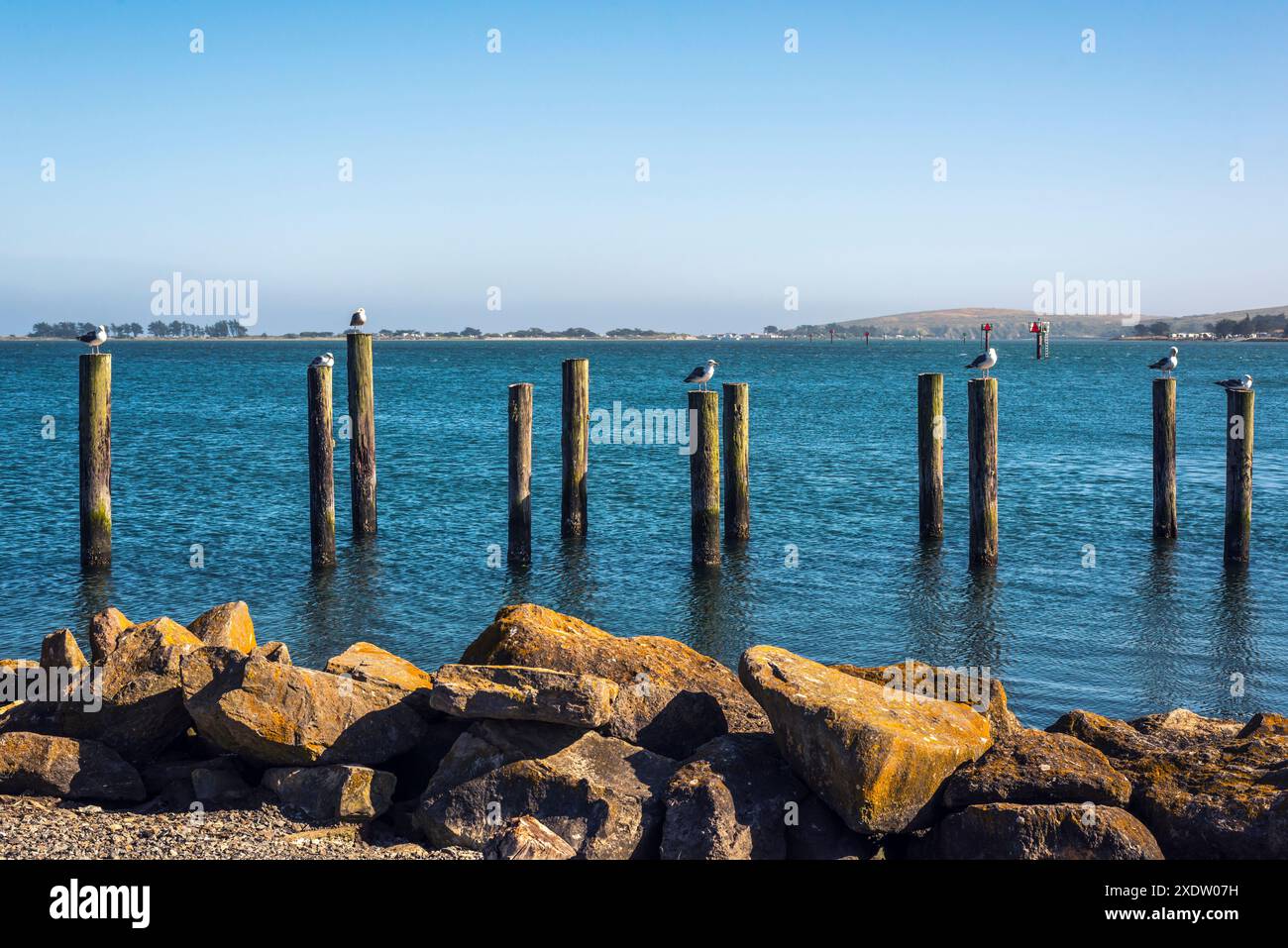 Bodega Bay is a village and census-designated place in Sonoma County ...