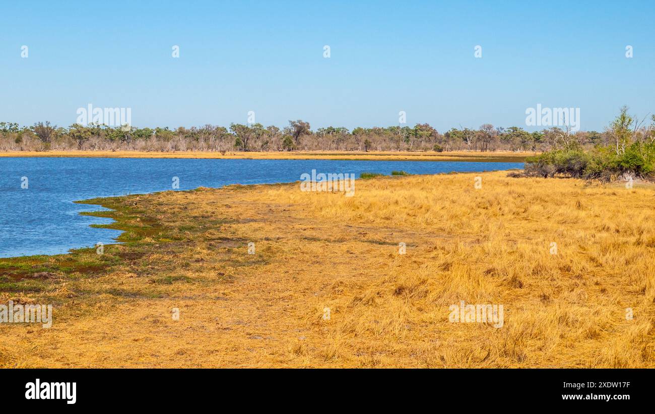 A serene view of Dombo Hippo Pools at Moremi Game Reserve, showcasing ...