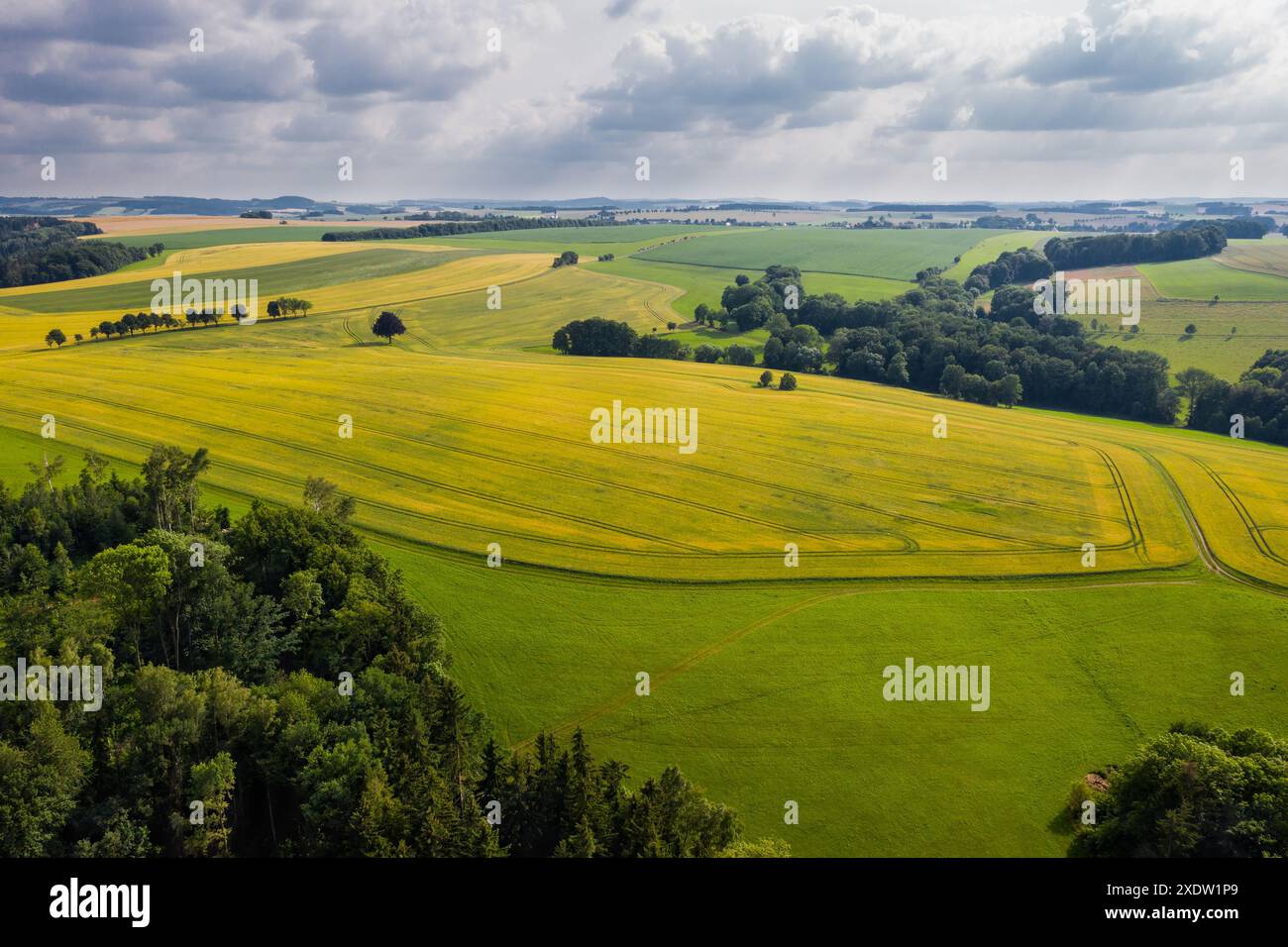 Aerial footage vibrant green grass hi-res stock photography and images ...
