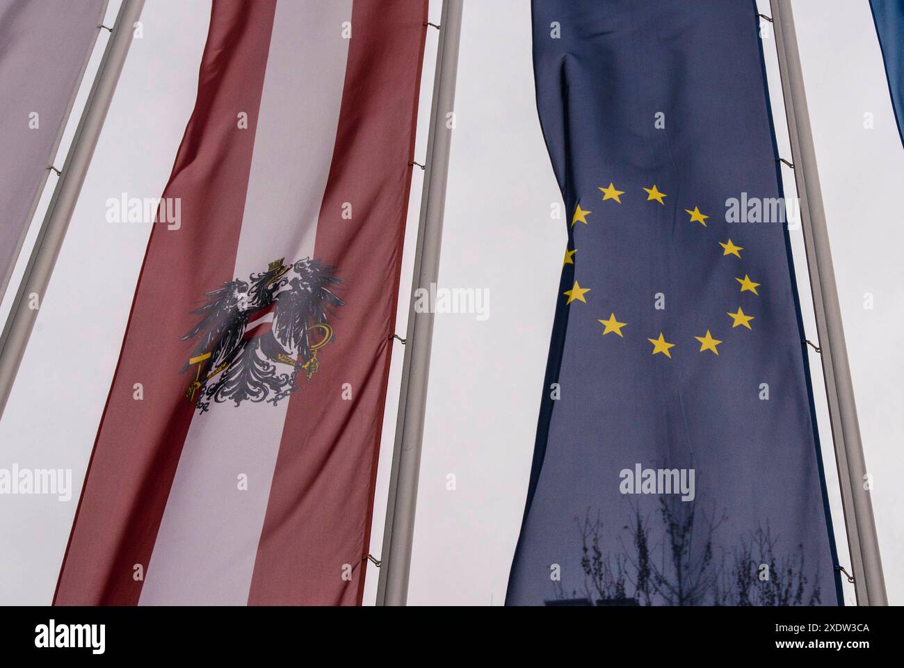 Austrian and European Union flag, blue flag with yellow stars ...