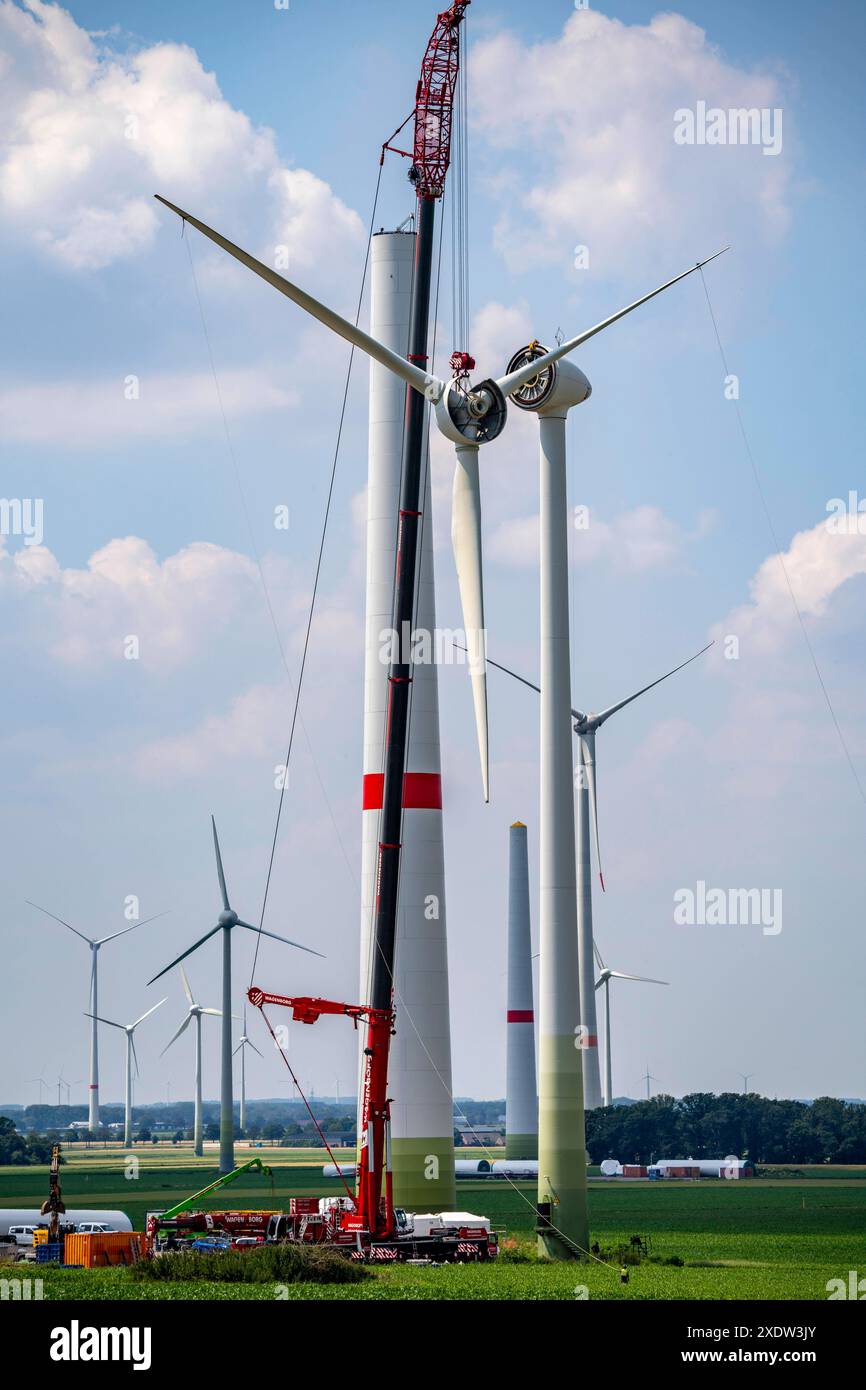 Repowering eines Windpark bei Issum, 9 ältere Windenergieanlagen vom ...