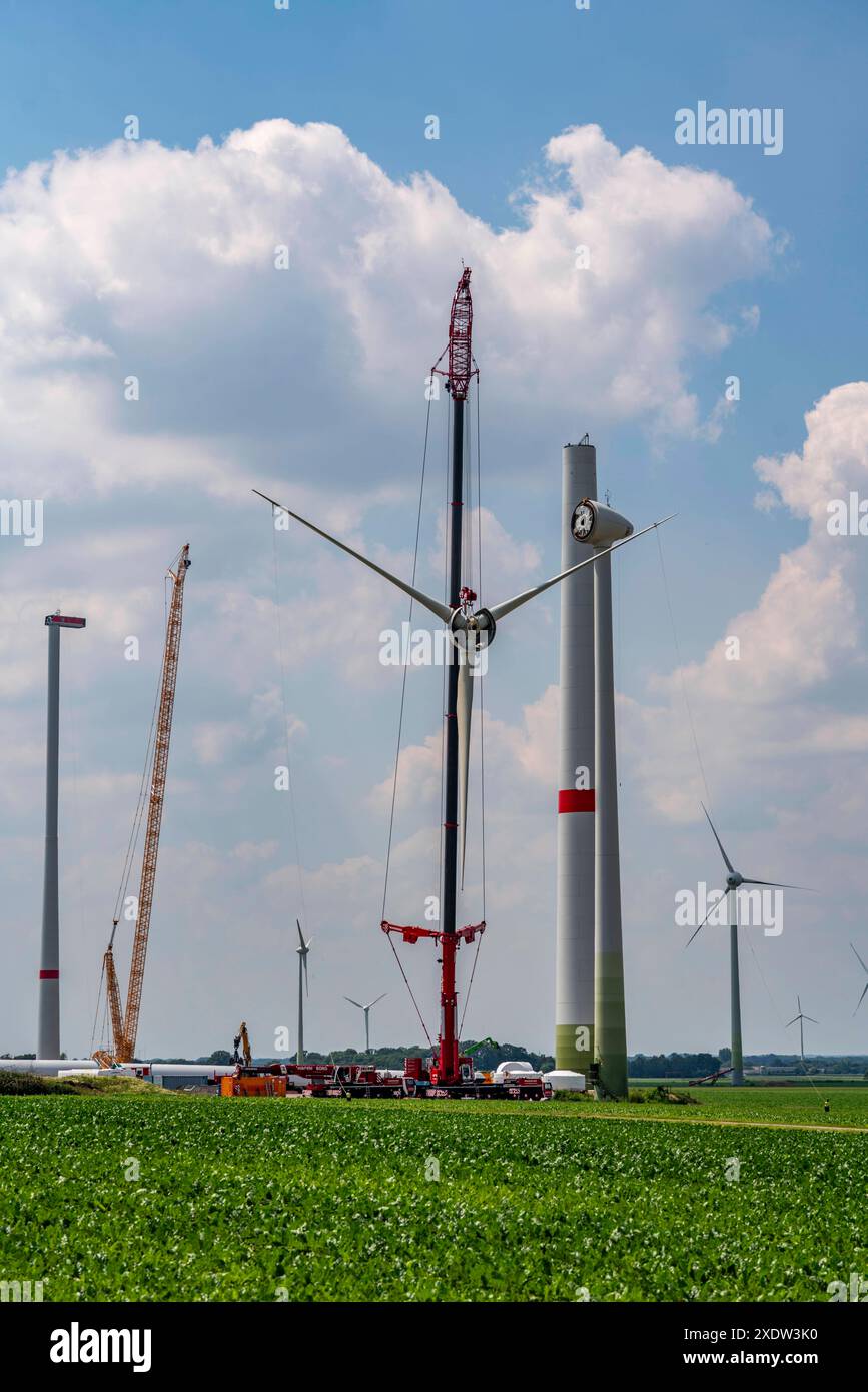 Repowering eines Windpark bei Issum, 9 ältere Windenergieanlagen vom ...