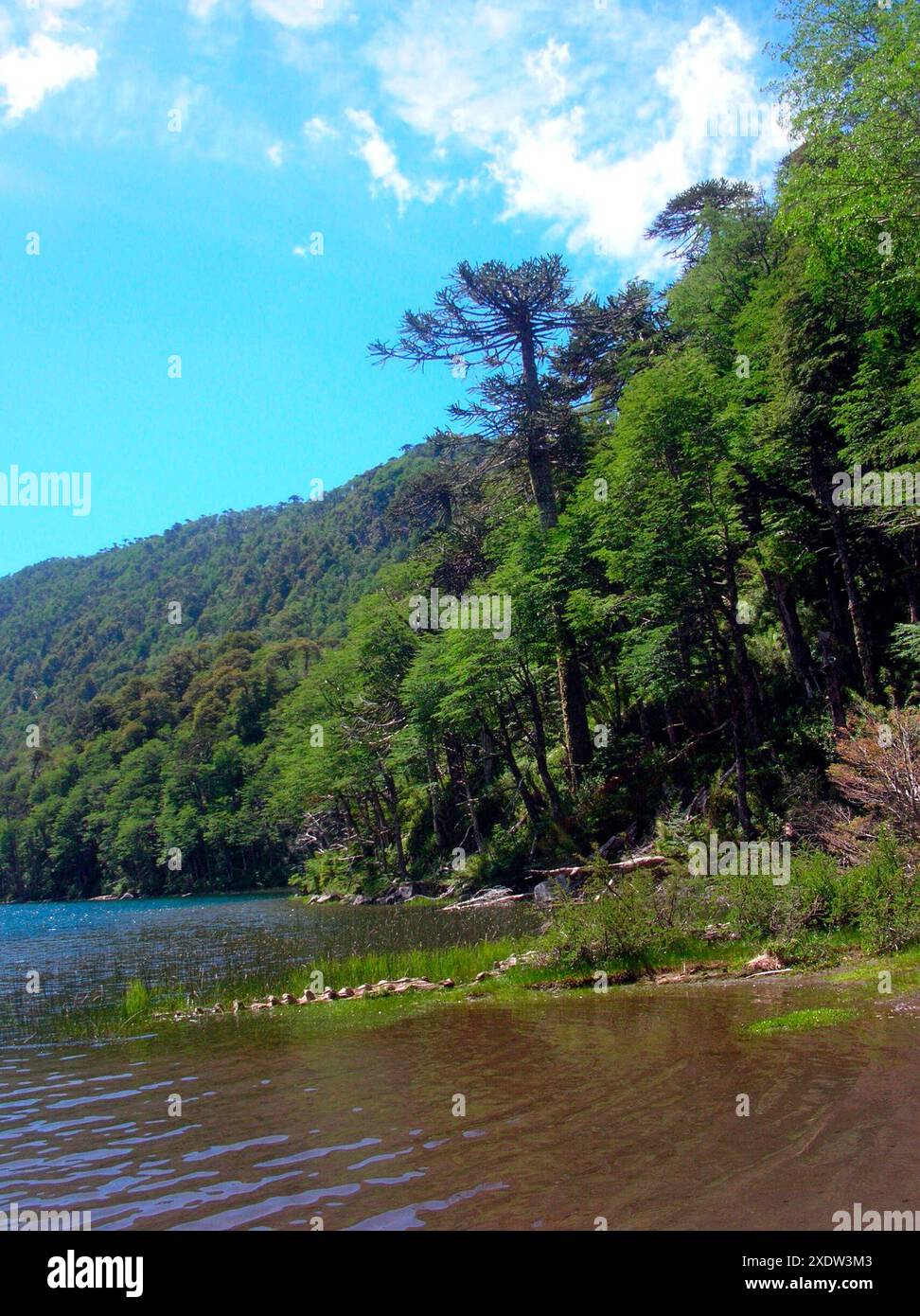 Chile co2 hi-res stock photography and images - Alamy
