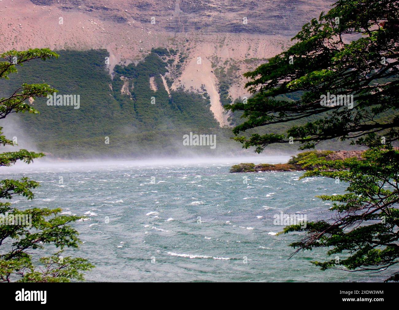 Chiles biodiversity hi-res stock photography and images - Alamy