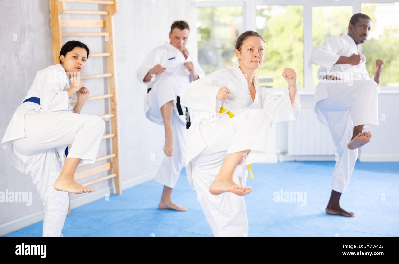 Group people training karate club hi-res stock photography and images - Alamy