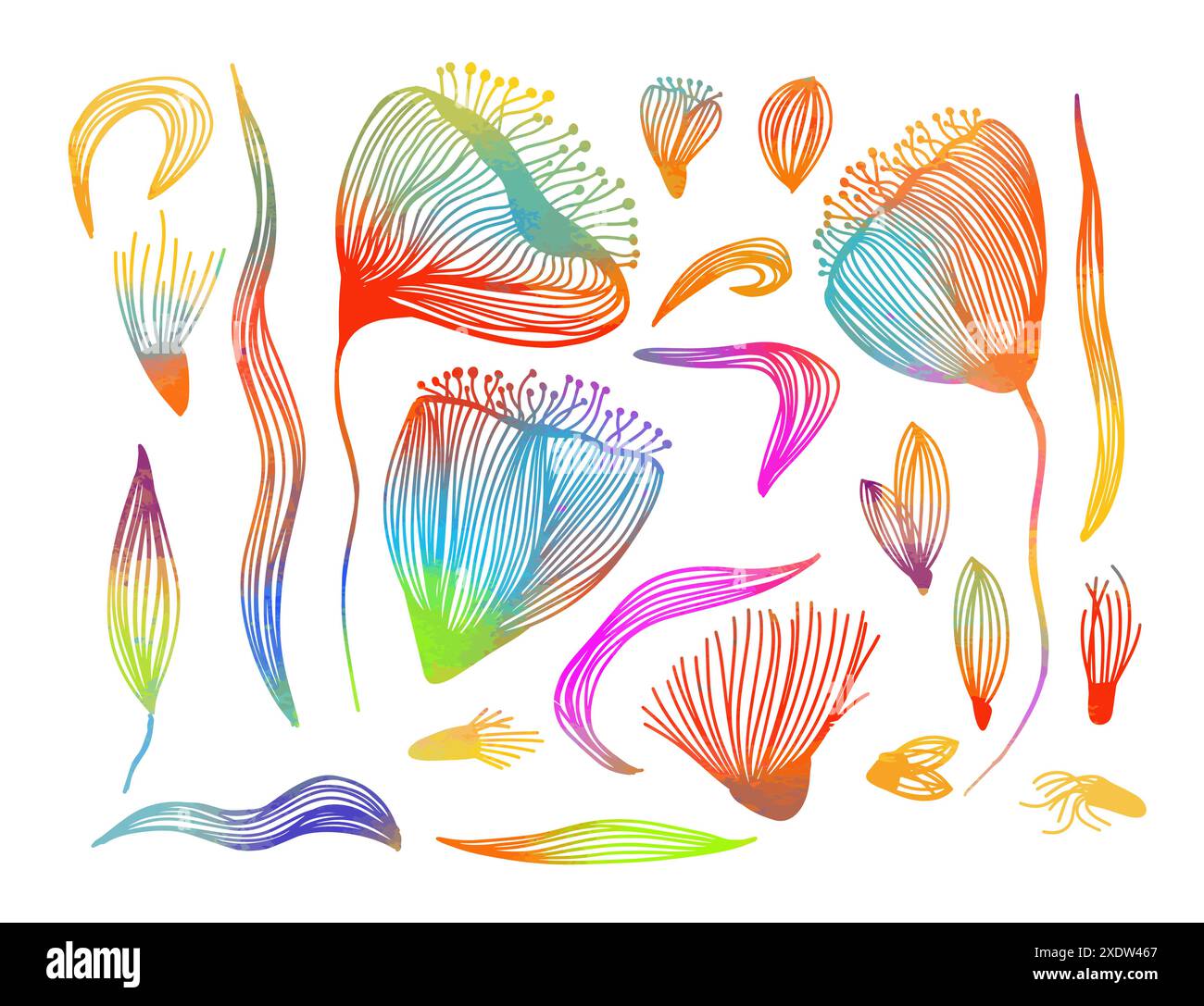 Set of colorful flowers made from lines. hand drawing. Not AI, Vector ...