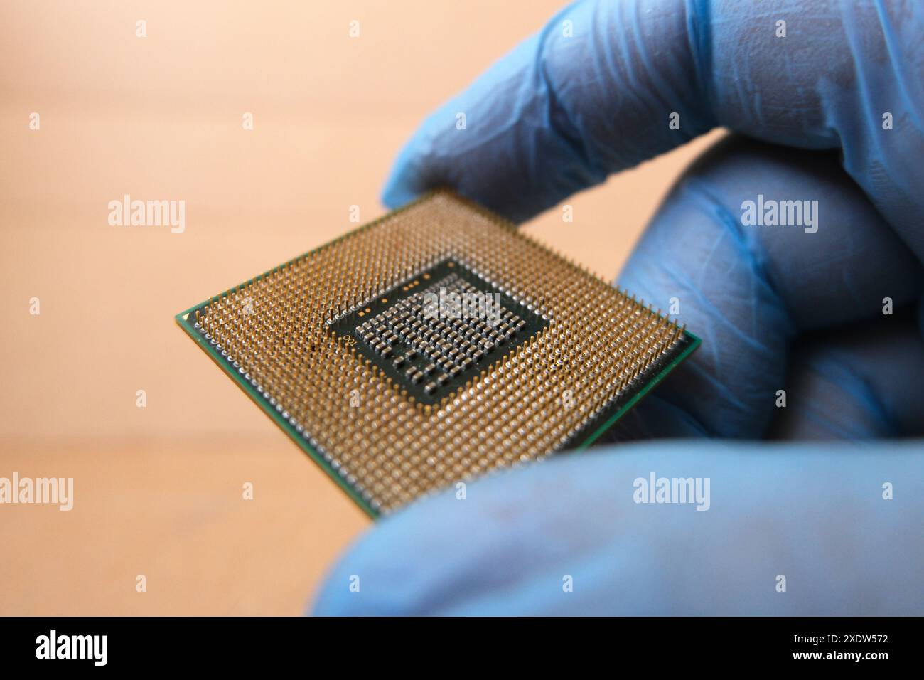 Technical personnel holding a CPU or micro processor Stock Photo - Alamy