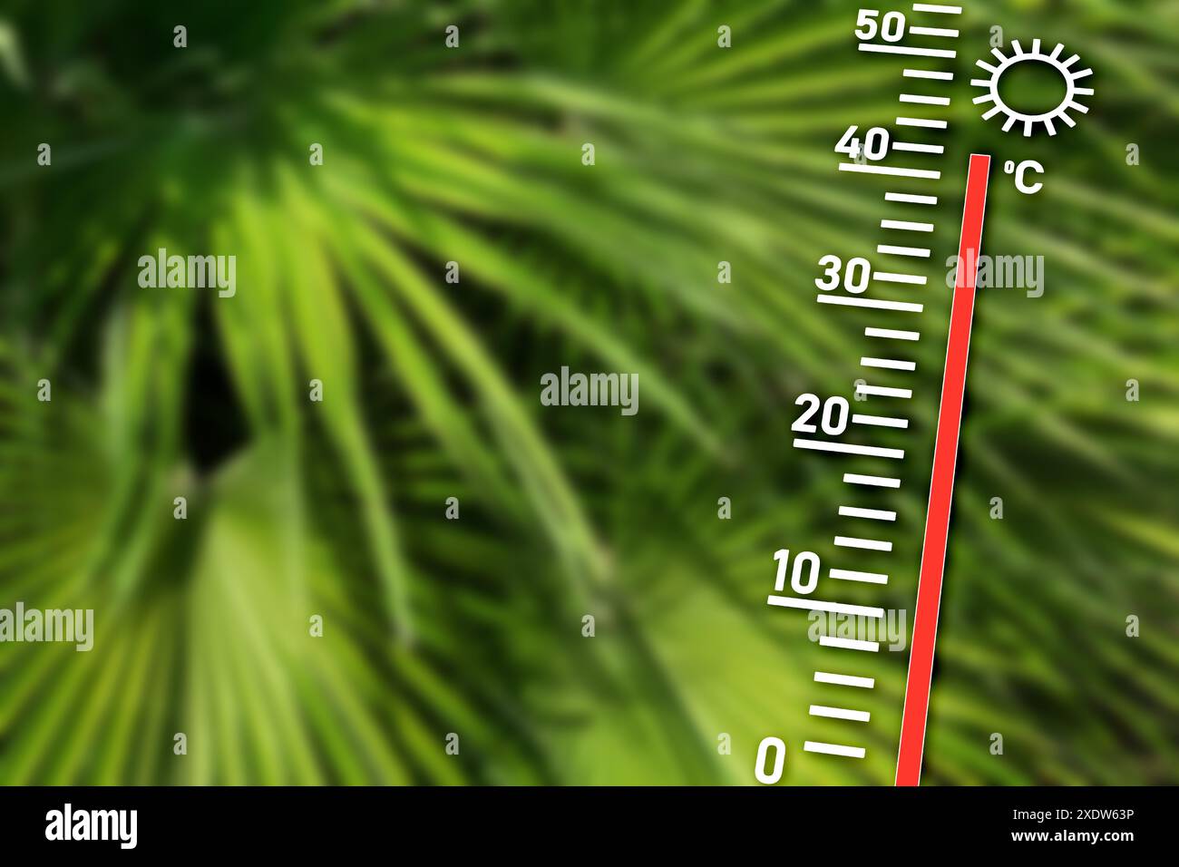 Blurred palm leaves and drawn thermometer showing high temperature. Hot ...