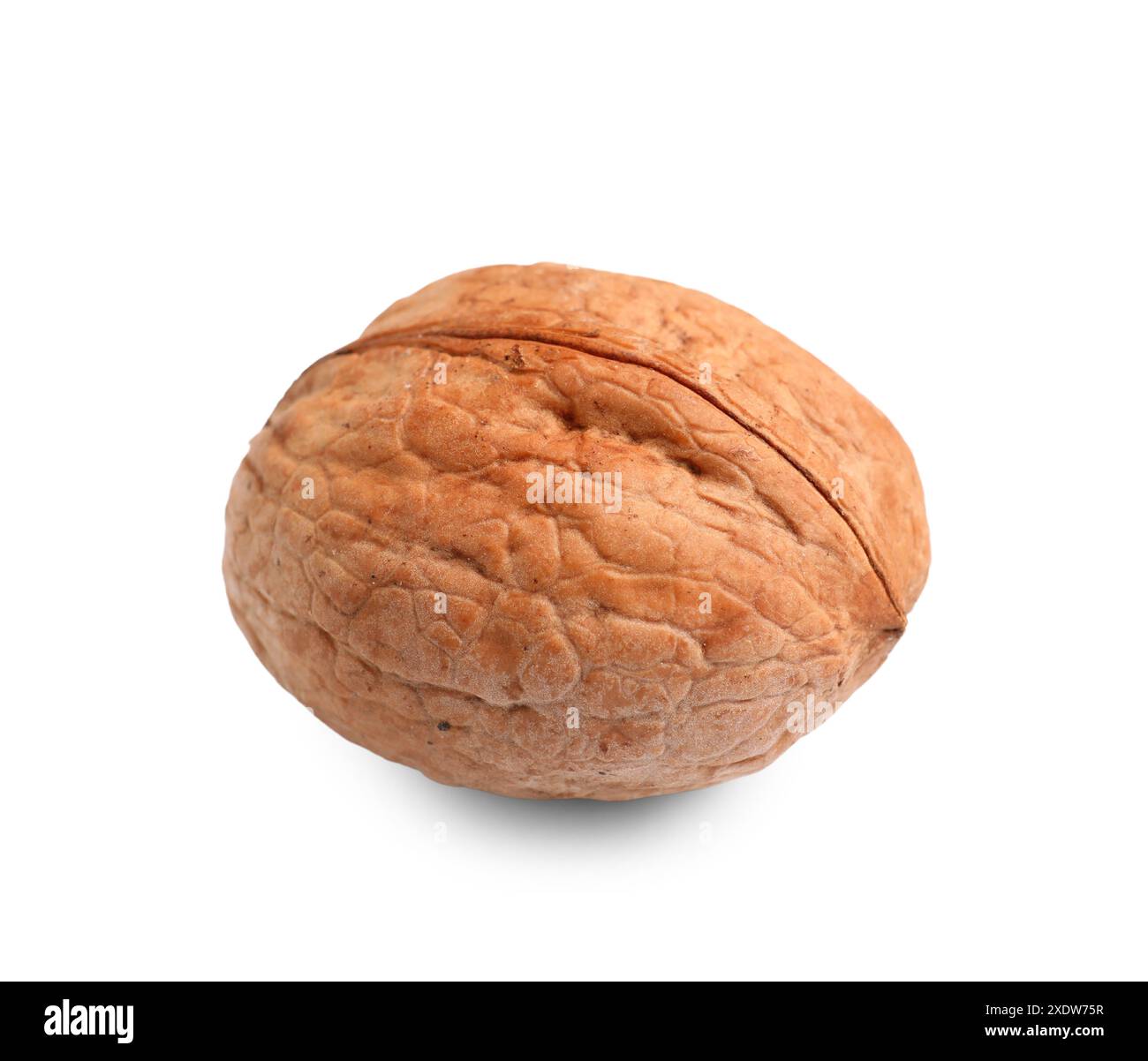 Whole walnut kernels on Cut Out Stock Images & Pictures - Alamy