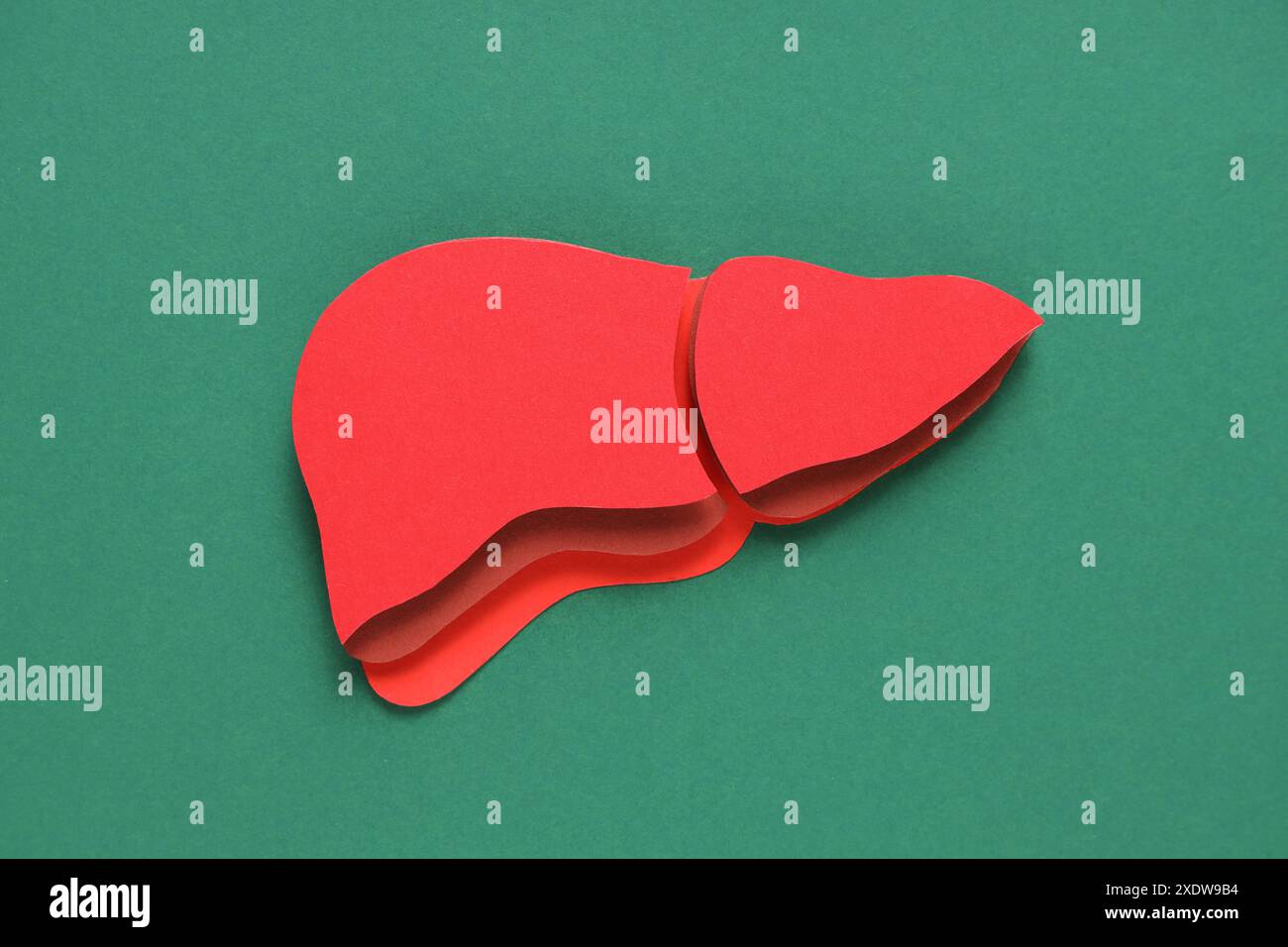 Paper liver on green background Stock Photo - Alamy