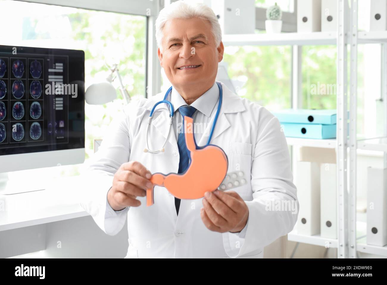 Mature doctor with paper stomach in clinic Stock Photo - Alamy