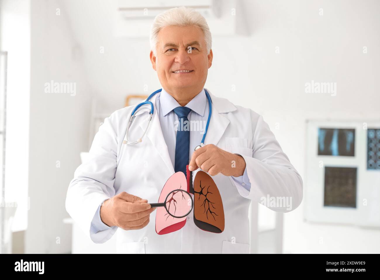 Mature doctor with magnifier and paper lungs in clinic Stock Photo - Alamy