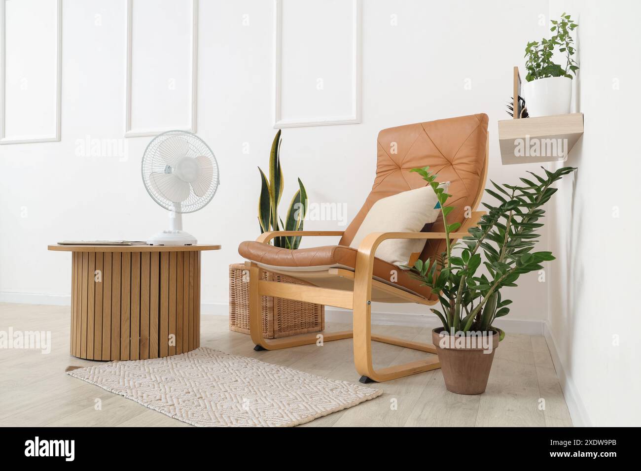 Electric fan and houseplants on coffee table at home Stock Photo - Alamy