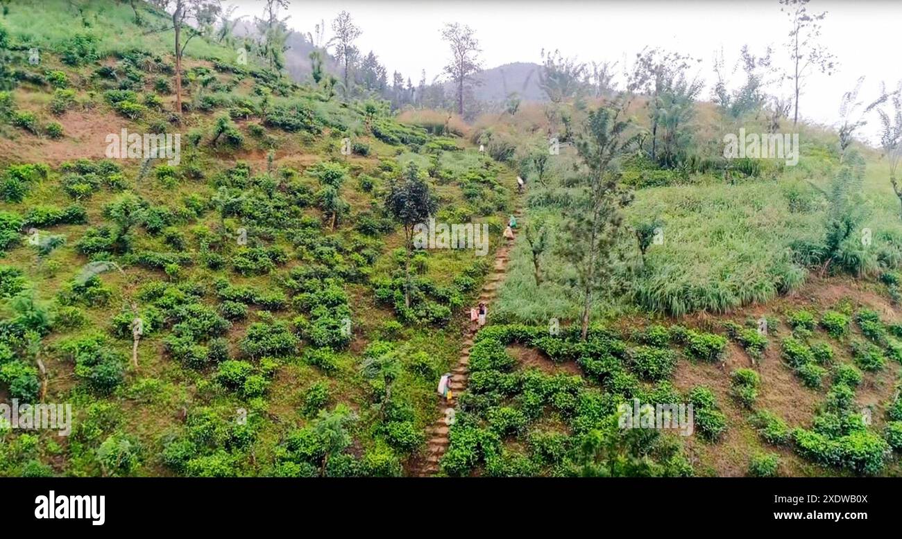 SHE RISES UP, 2024. © Abramorama /Courtesy Everett Collection Stock ...