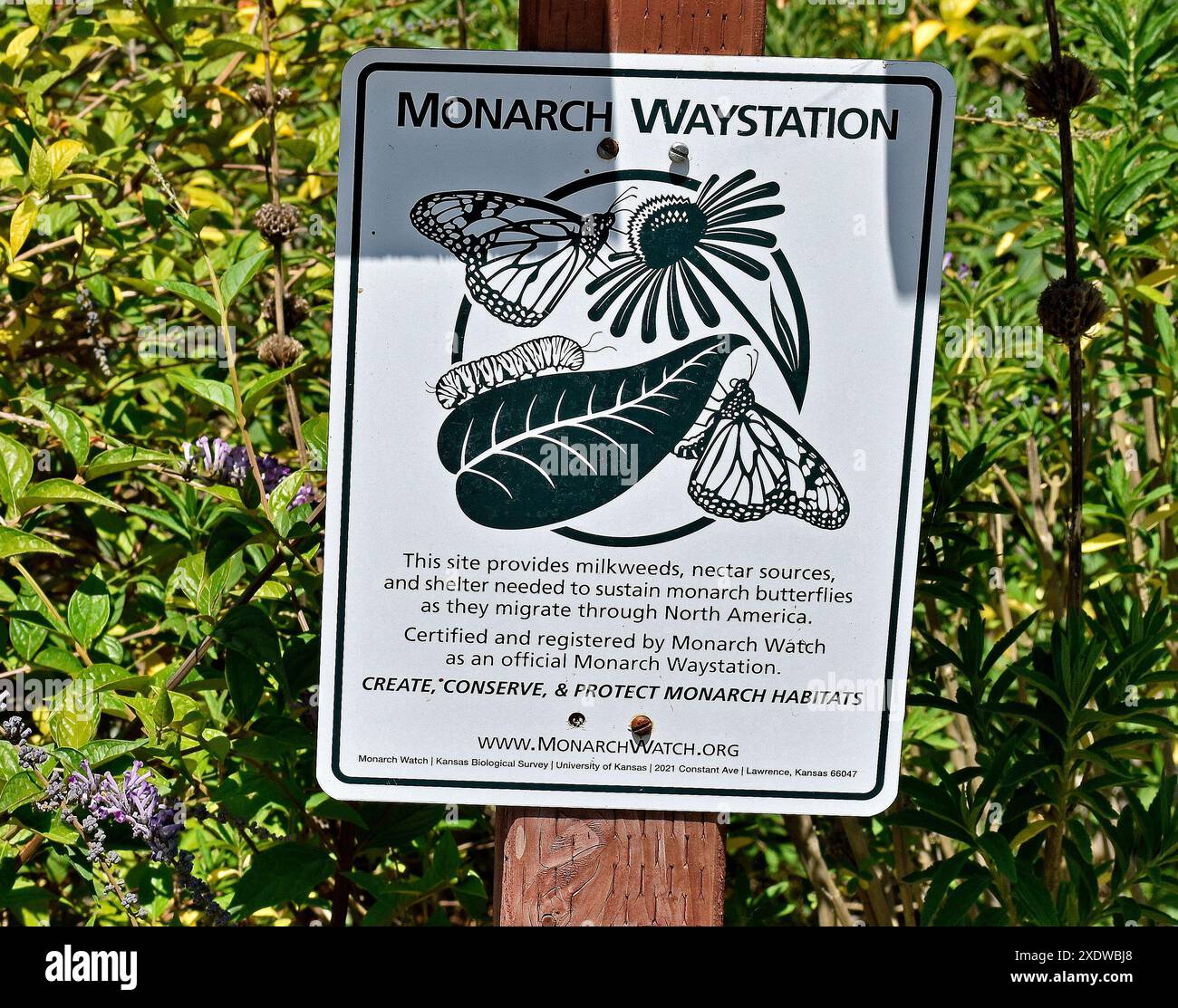 monarch butterfly way station sign at Quarry Lakes Regional Recreation ...
