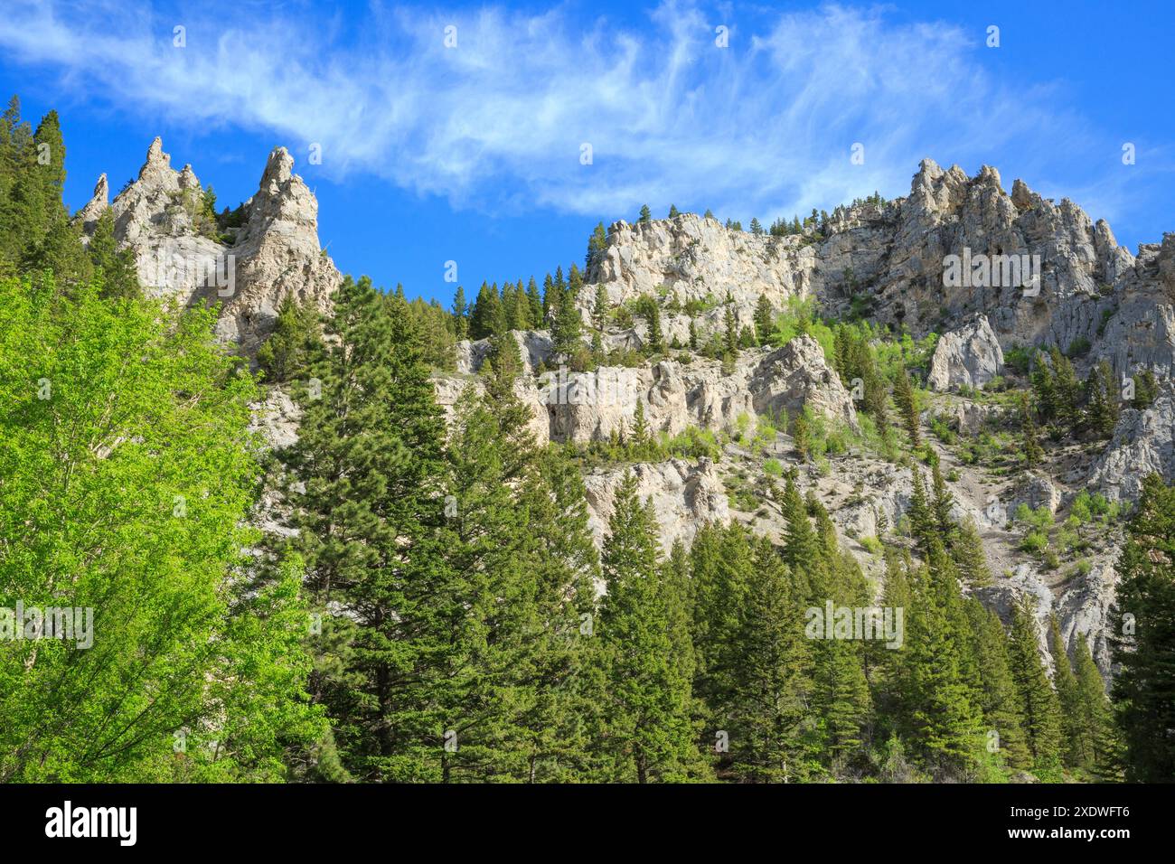 limestone cliffs and spires along beaver creek canyon in the big belt ...