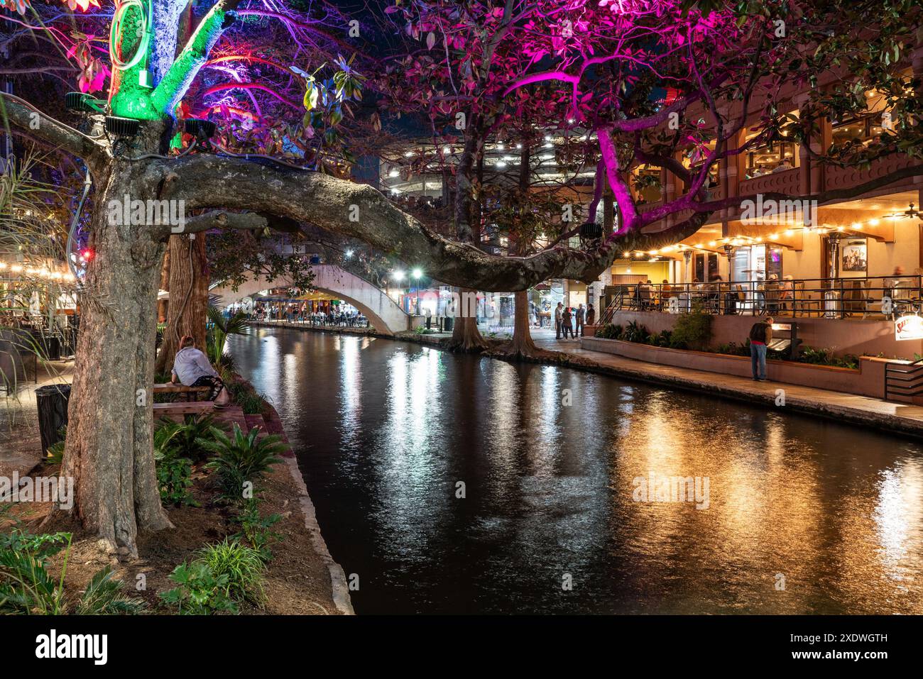 San Antonio, Texas - February 20, 2024: Night view of historic ...