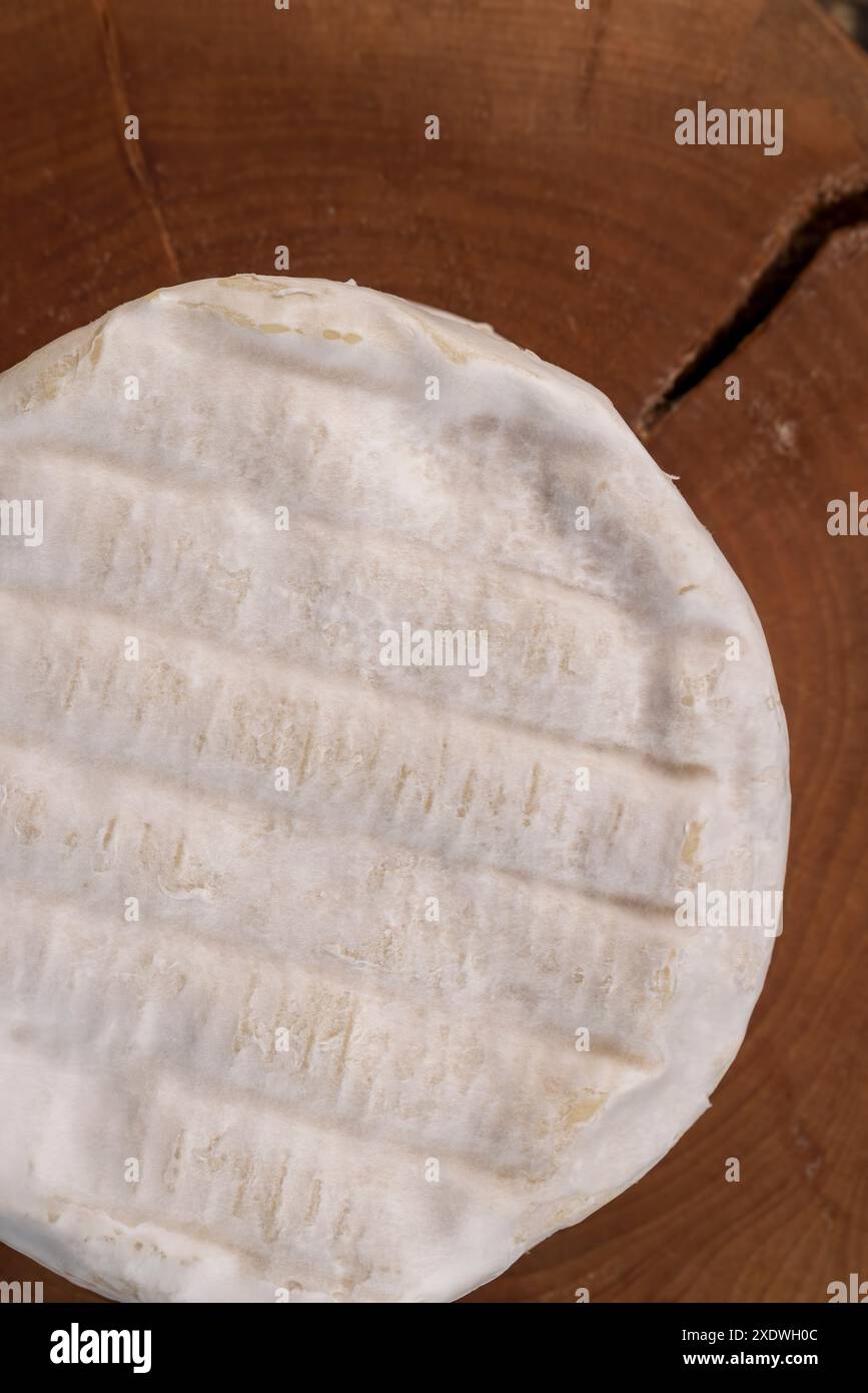 White cheese covered mold hi-res stock photography and images - Alamy
