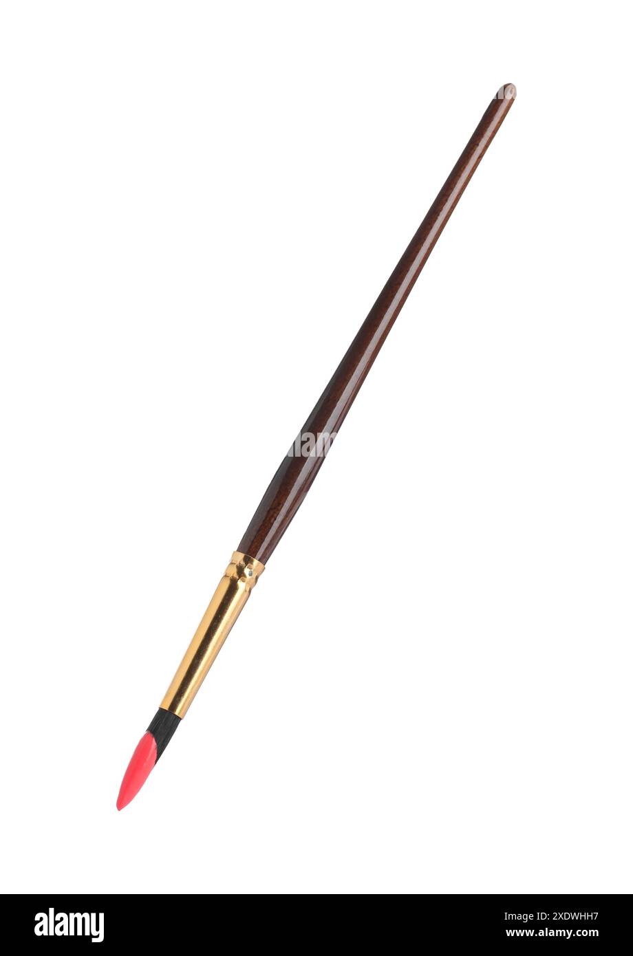 Coral paint brush Cut Out Stock Images & Pictures - Alamy