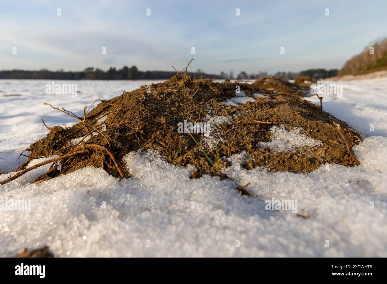 snow-covered plowed soil in the field in winter, part of the melted ...