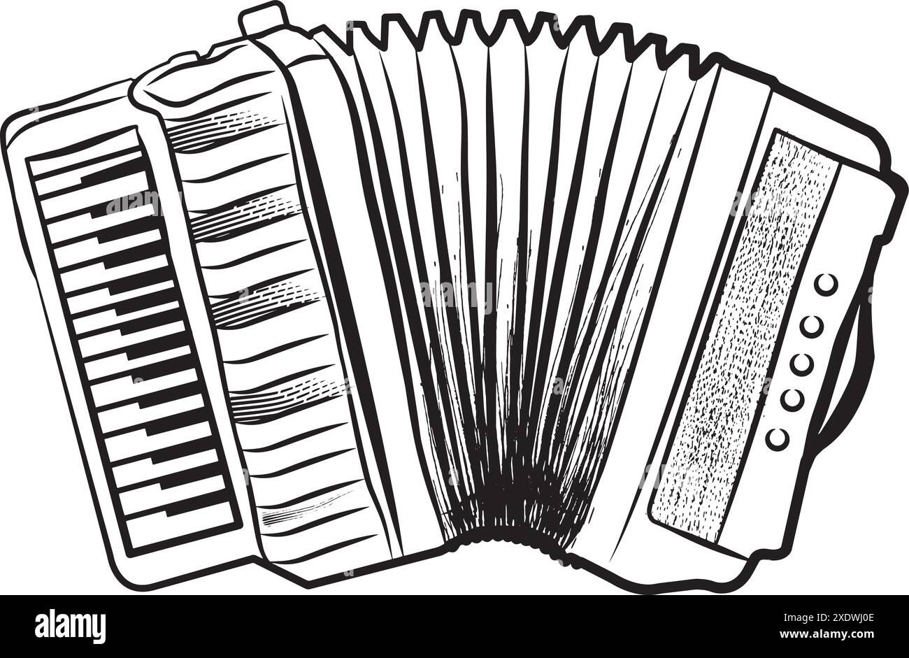 Accordion Accordion Illustration Musical Instrument Vector Stock